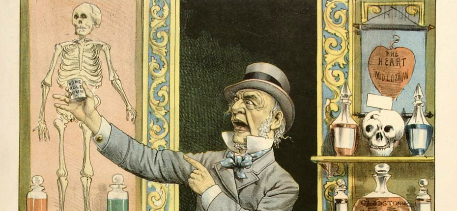 Profesor Thaddeus Schmidlap i svinjska gripa